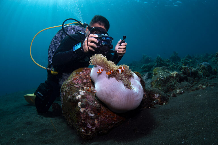 Tulamben Homepage - Resort, Restaurant & Guesthouse & 1 Villa ...